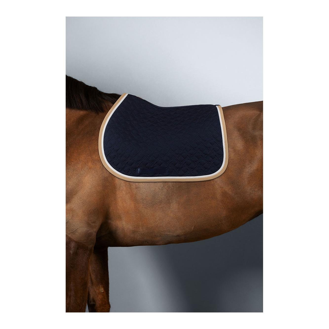 Reitsport.ch | Der Online-Shop für Pferd und Reiter